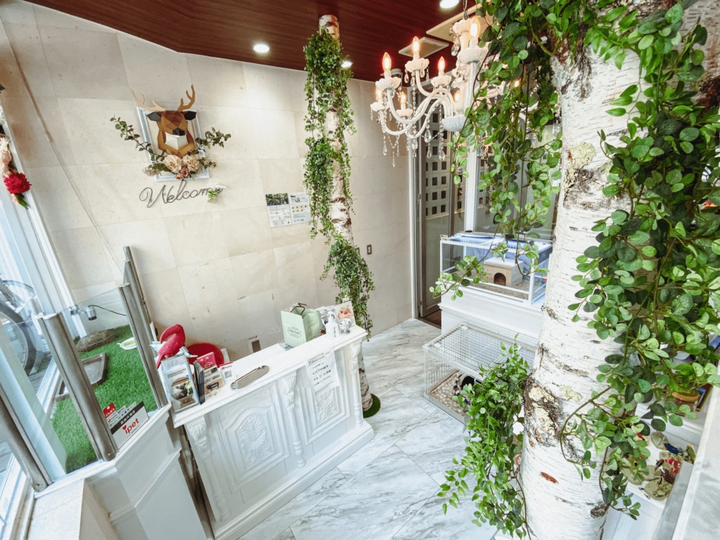 “PET SHOP PROP” | 愛知県名古屋市 店舗デザイン 内装デザイン キッチンラボ